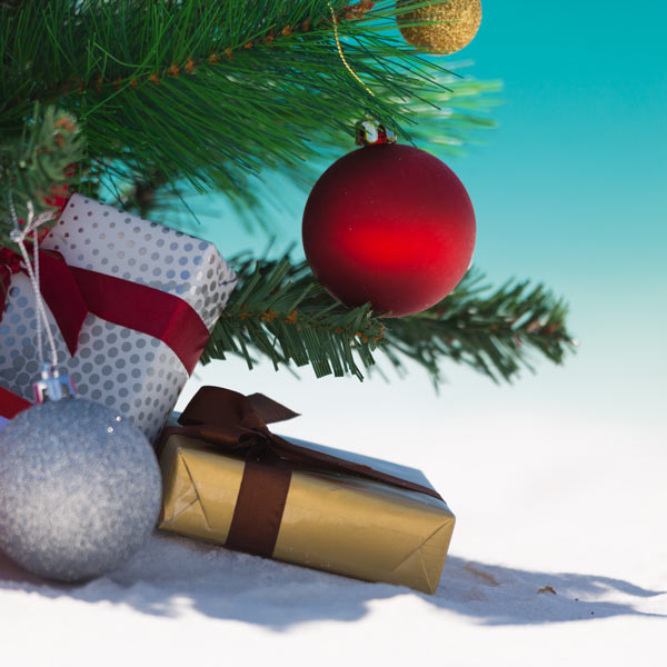 The History of Christmas in July – Department 56